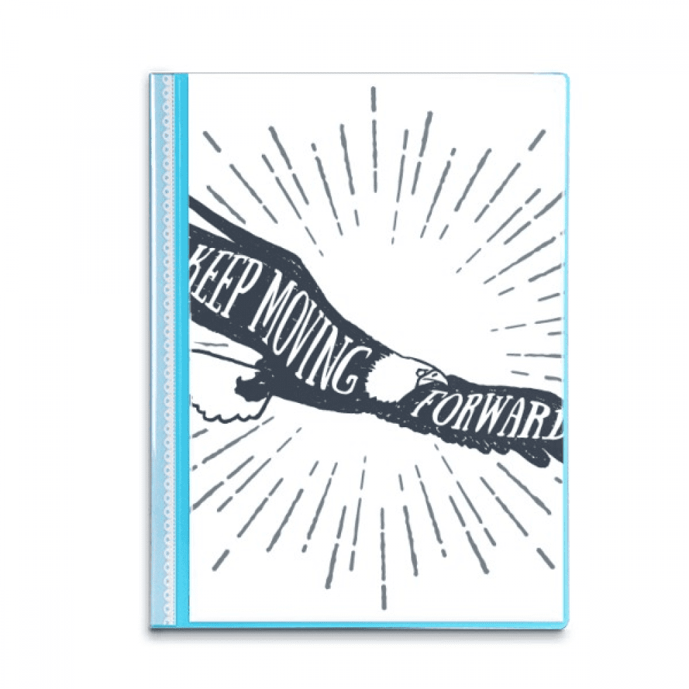 Ancient Egypt Eagle Decorative Pattern Book Sheet Protectors Portfolio ...