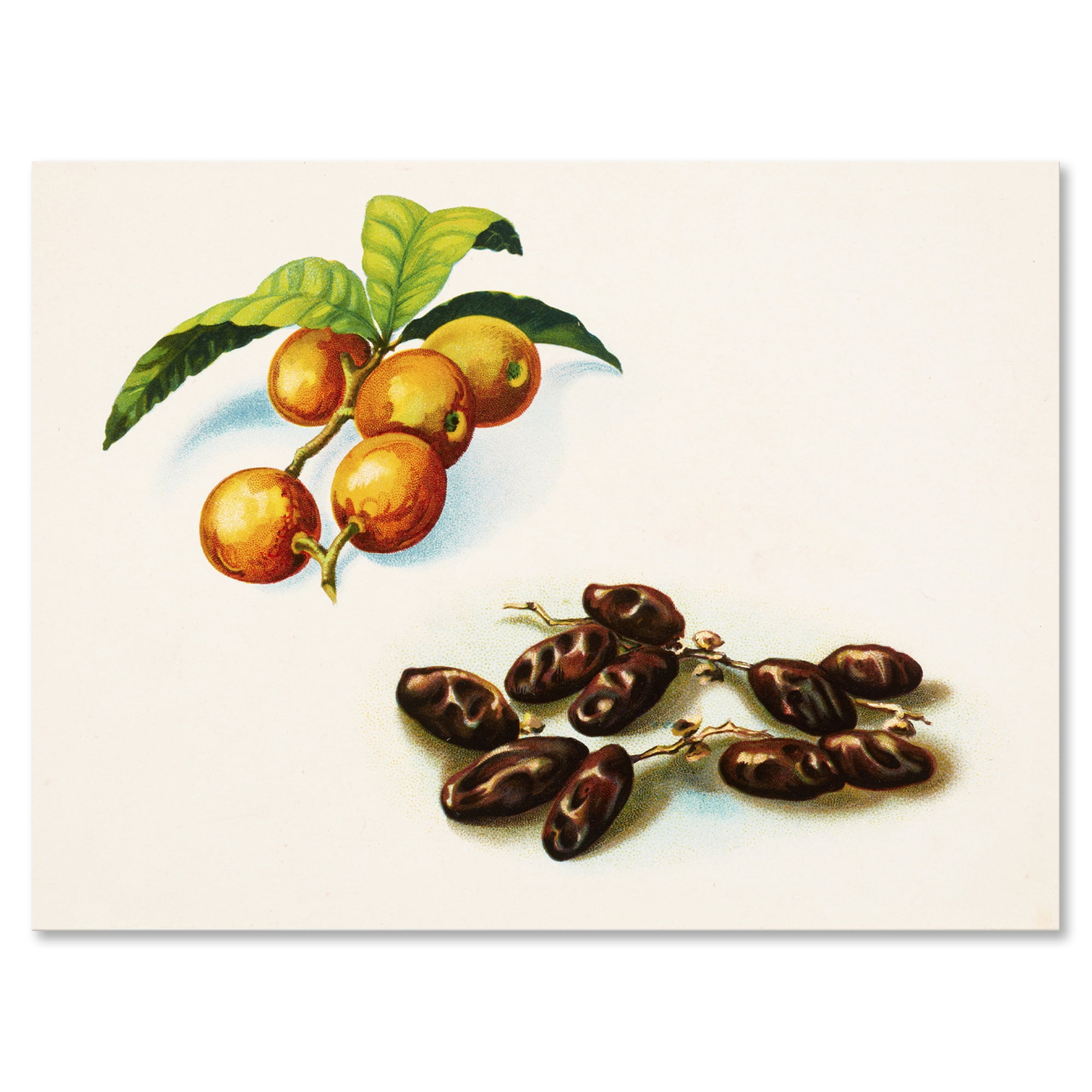 Ancient Fruits IV 32 in x 16 in Painting Canvas Art Print, by Designart ...