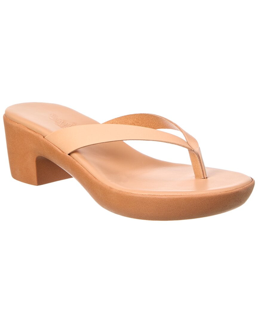 Ancient Greek Sandals Eva Comfort Clog, 41 - Walmart.com