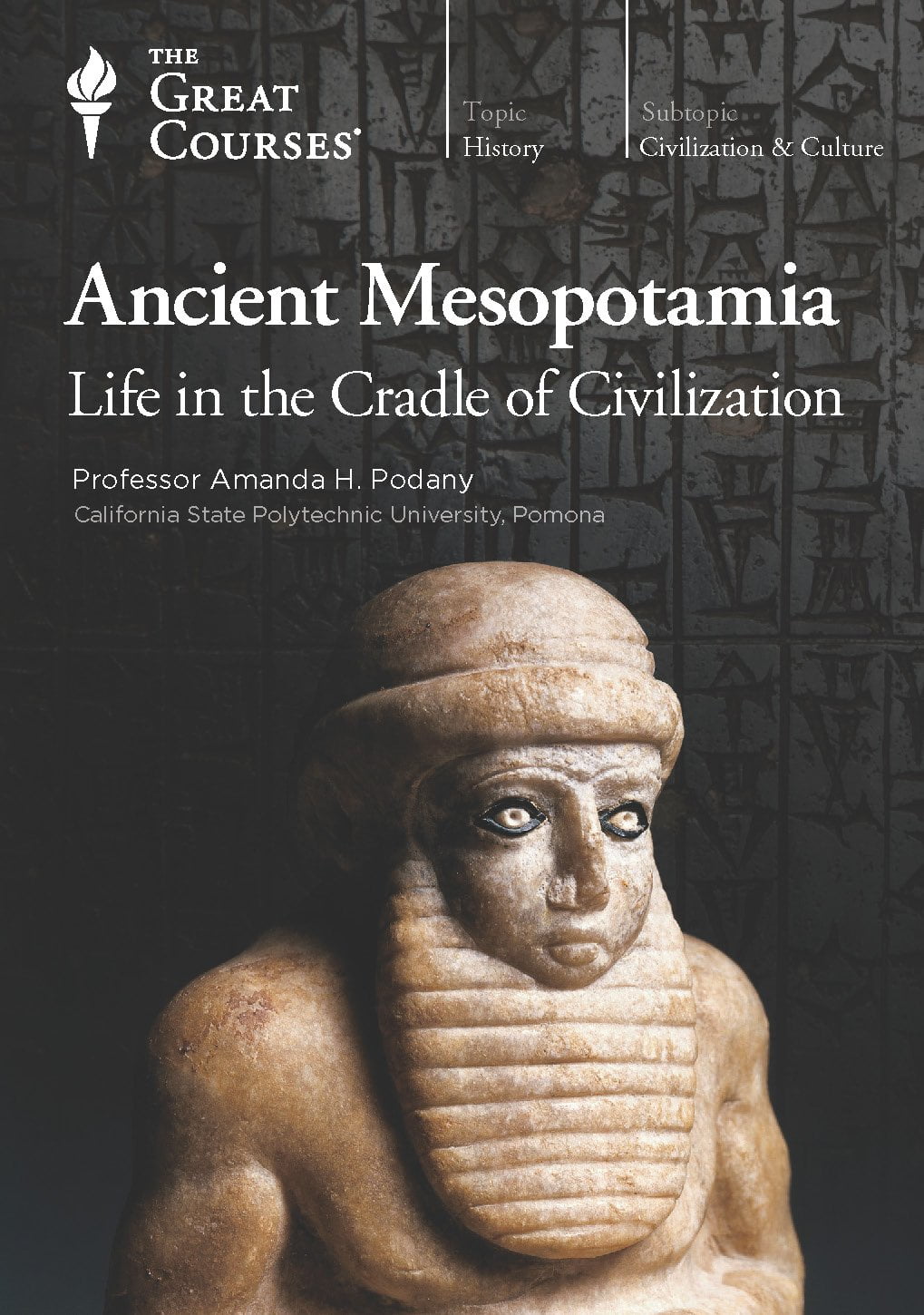 Ancient Mesopotamia: Life in the Cradle of Civilization [DVD] - Walmart.com