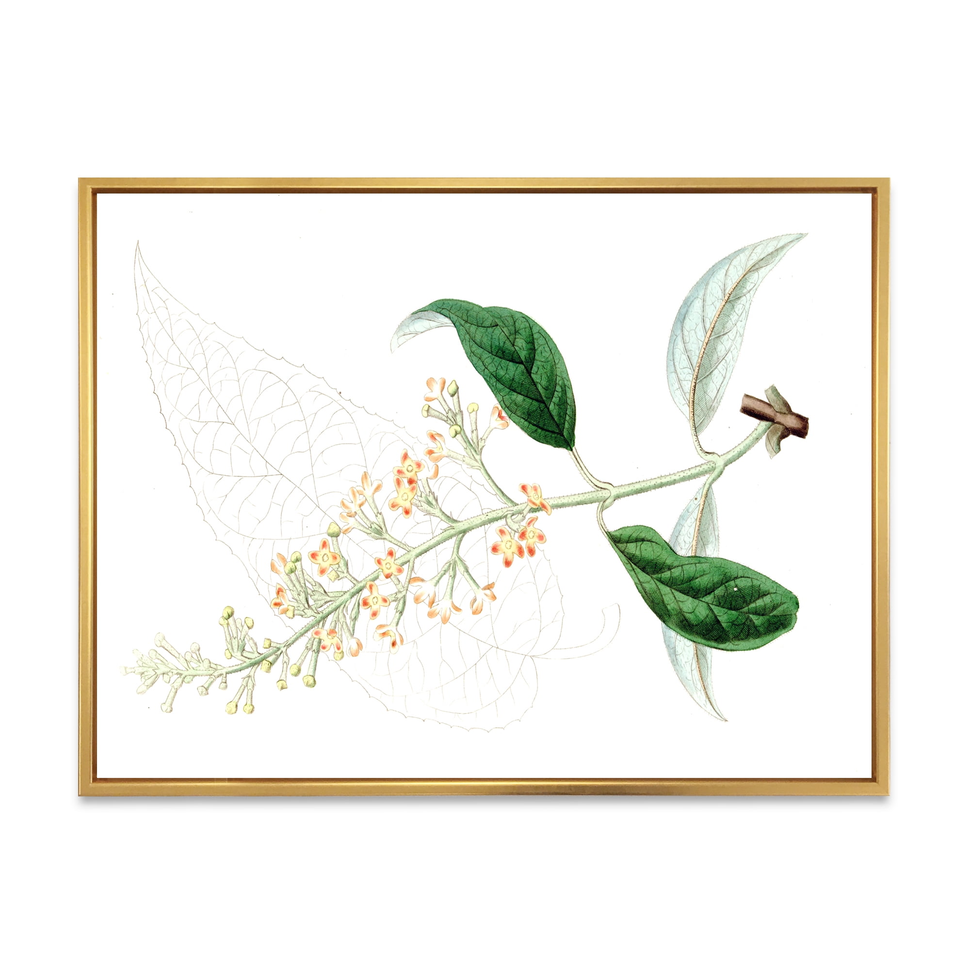 Ancient Plant Life XXVII 20 in x 12 in Framed Painting Canvas Art Print ...