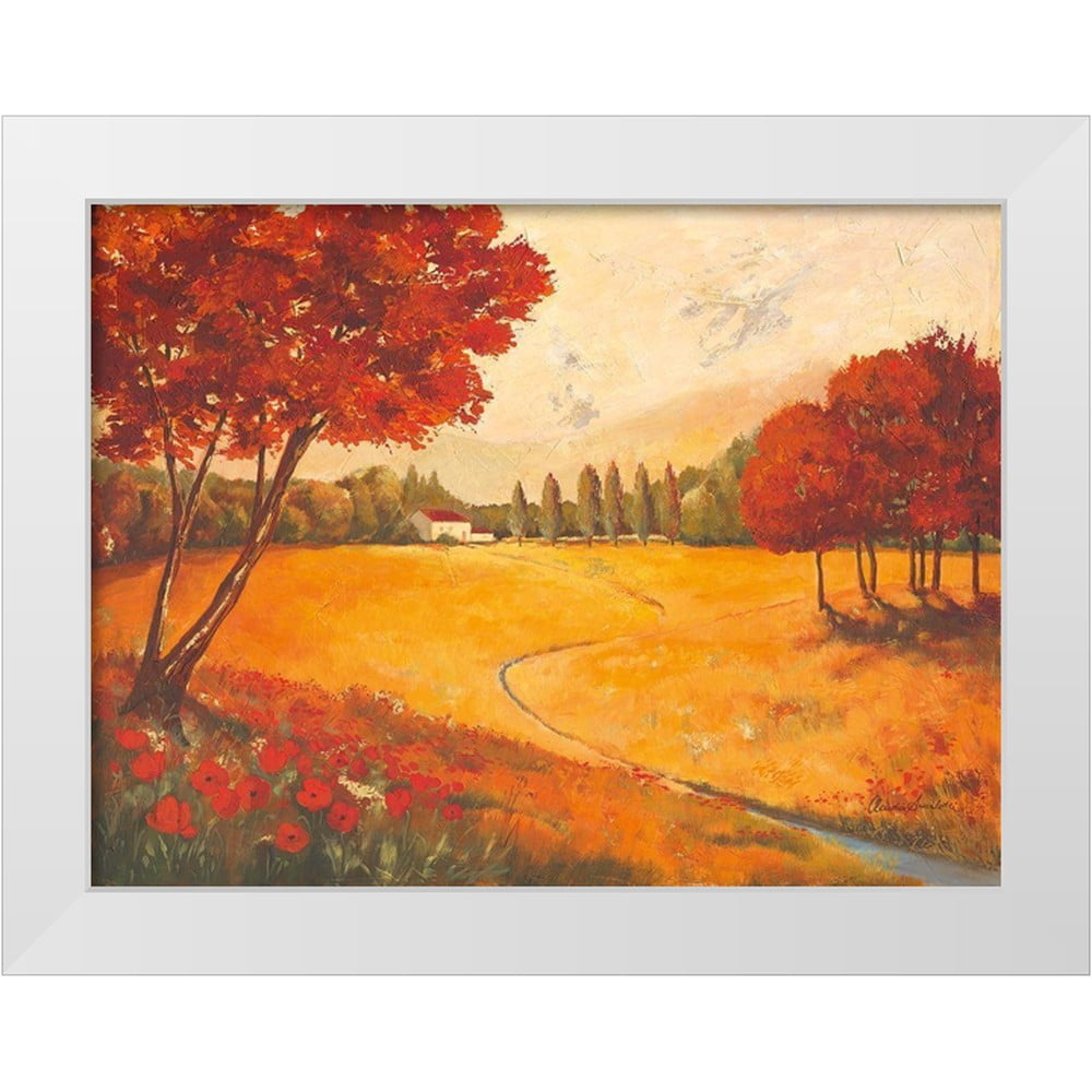 Ancilotti, Claudia 14x12 White Modern Wood Framed Museum Art Print ...