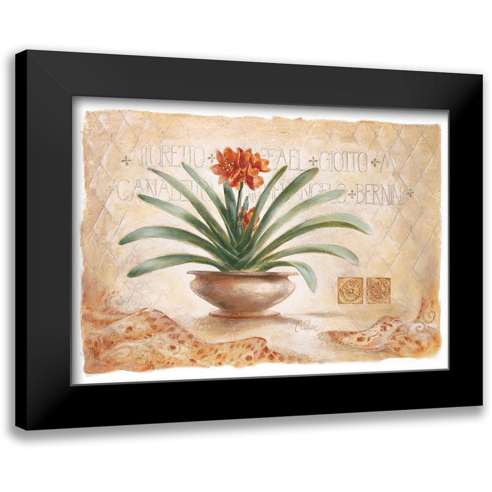 Ancilotti, Claudia 18x14 Black Modern Framed Museum Art Print Titled ...