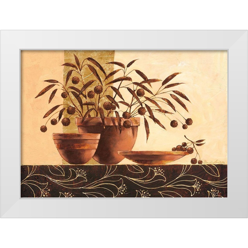 Ancilotti, Claudia 18x14 White Modern Wood Framed Museum Art Print ...