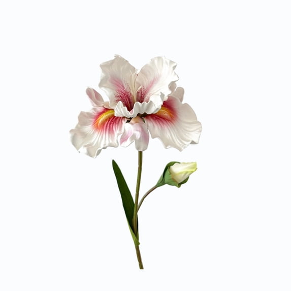 Anckoeil Artificial Flowers Stem, Single Fake Iris Bloom with Bud, Soft ...
