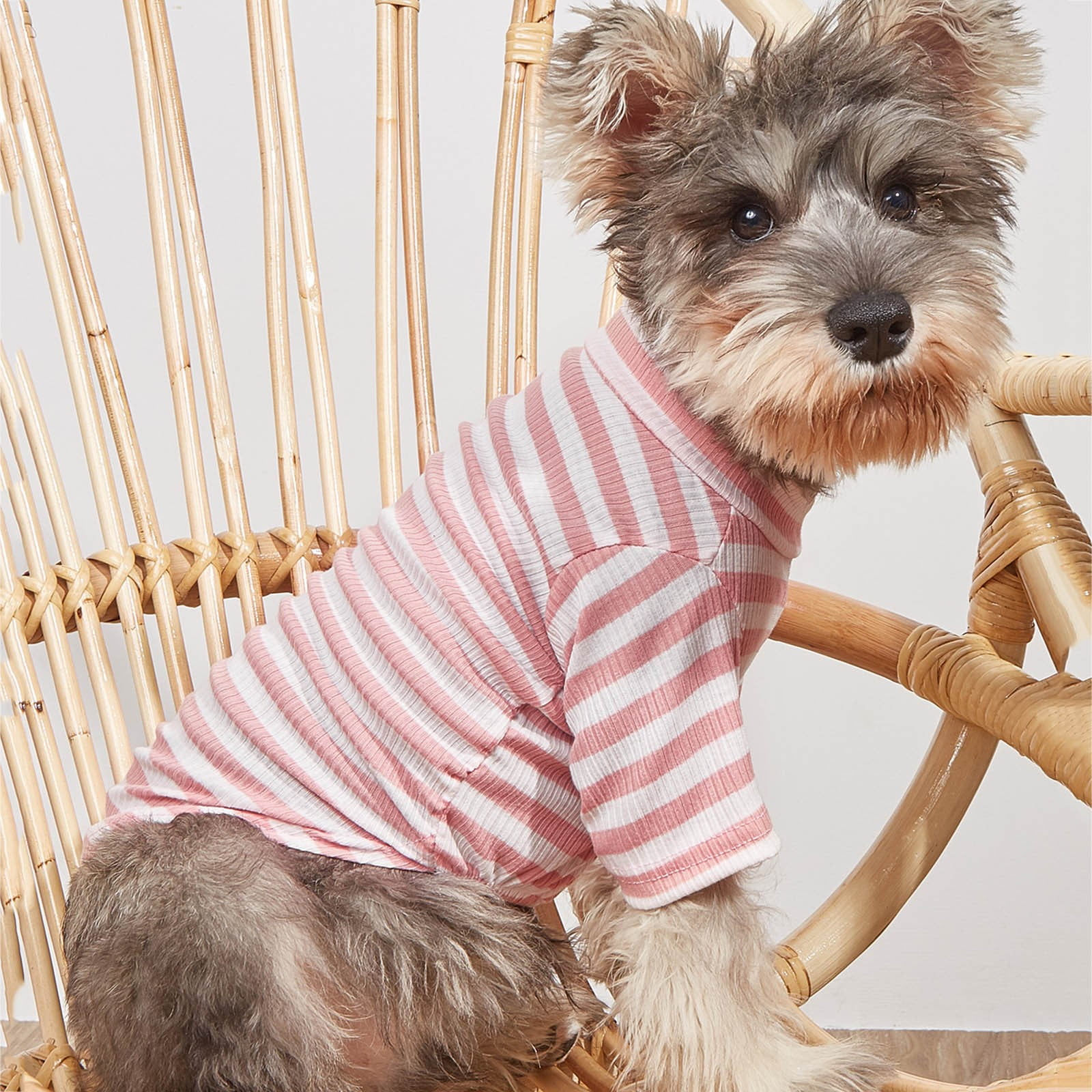 And Home Thick Striped Two Legged Pet Sweater Fashion Base Cat Dog ...