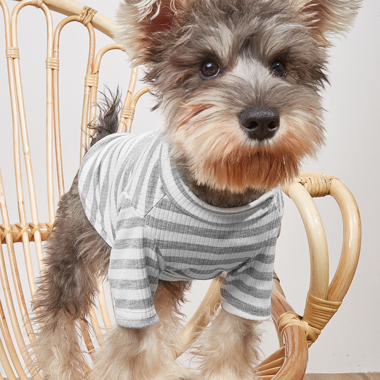 And Home Thick Striped Two Legged Pet Sweater Fashionable Base Layer ...