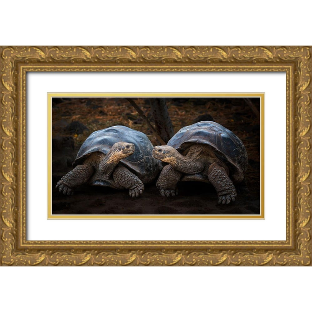 And Wei, Siyu 24x15 Gold Ornate Wood Framed with Double Matting Museum ...