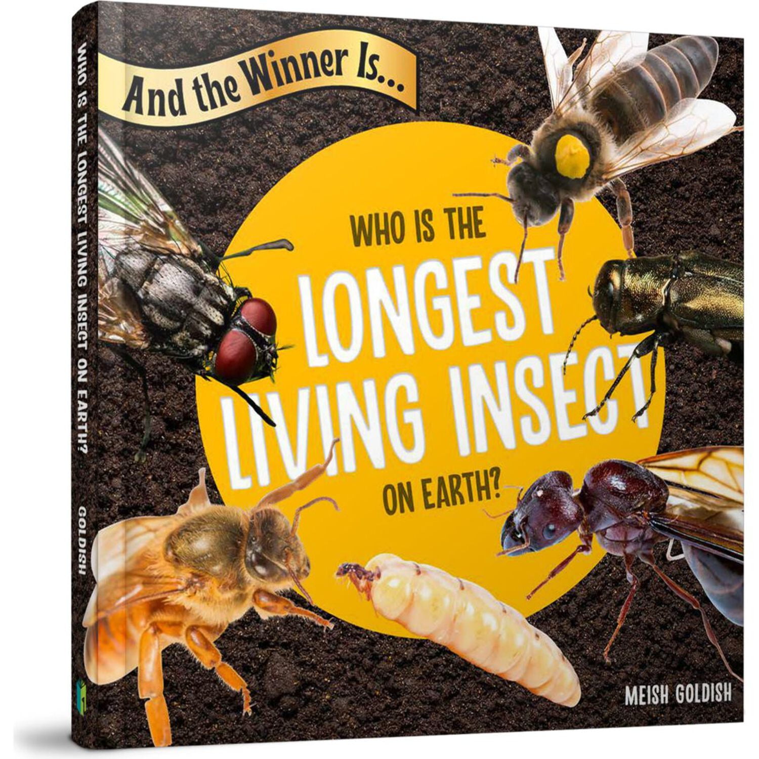 And the Winner Is...Who Is the Longest Living Insect on Earth ...