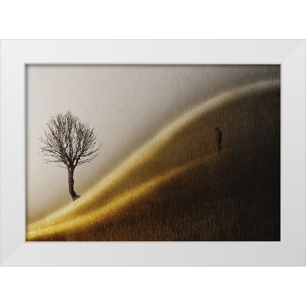 Andersen, Helge 24x18 White Modern Wood Framed Museum Art Print Titled ...