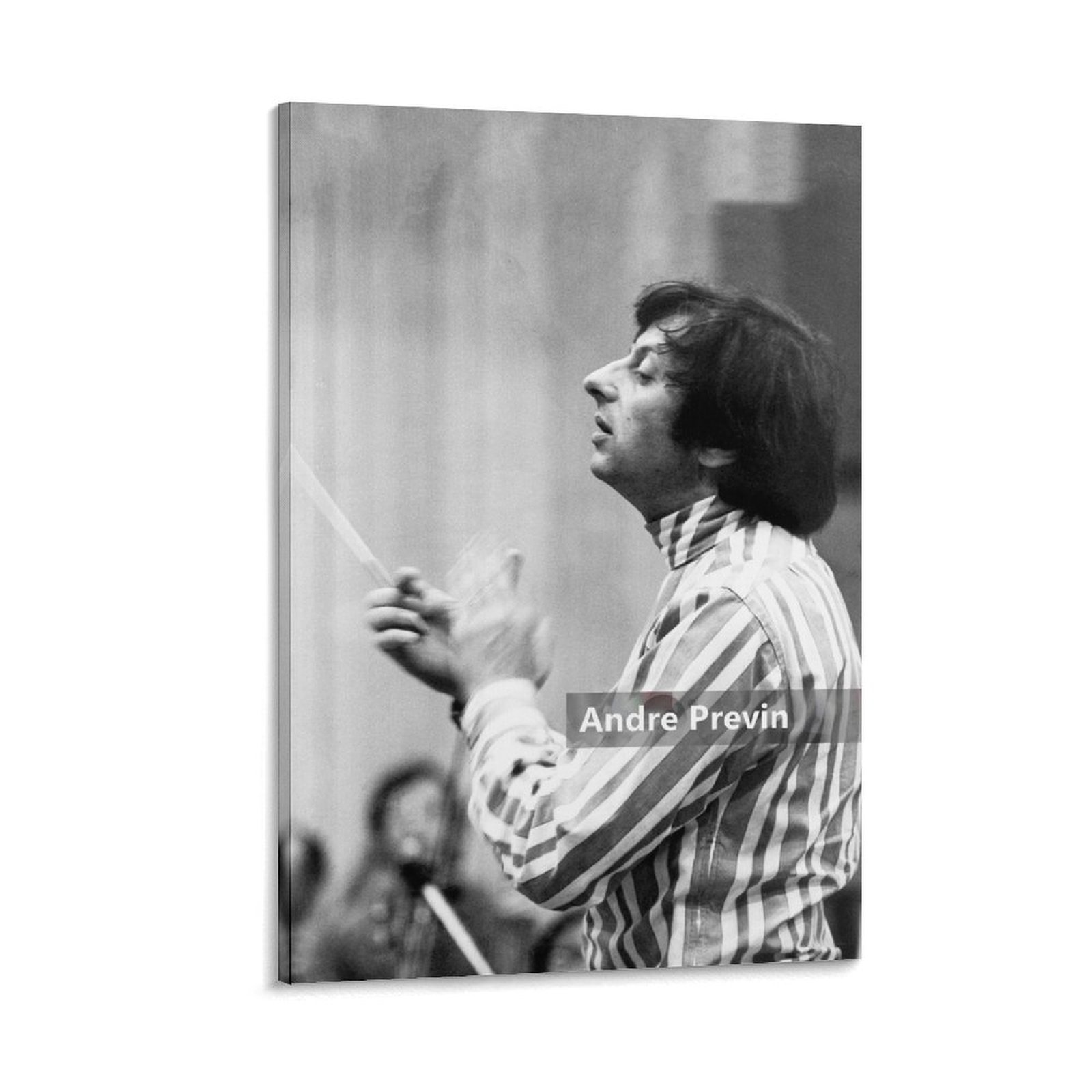 Andre Previn Poster 2 Painting On Canvas Wall Art Poster Scroll Picture ...