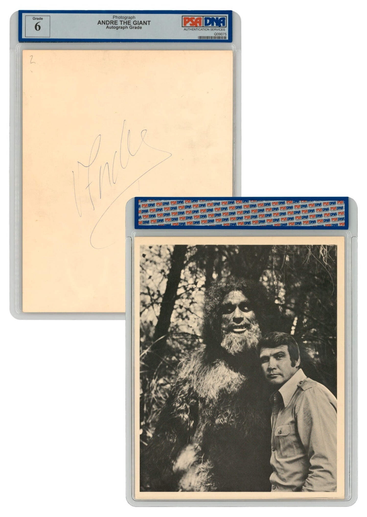 Andre The Giant Signed 8x10 Vintage Wrestling Photo PSA DNA Certified ...