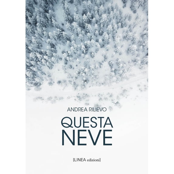 Andrea Rilievo Questa neve (Paperback) - Walmart.com