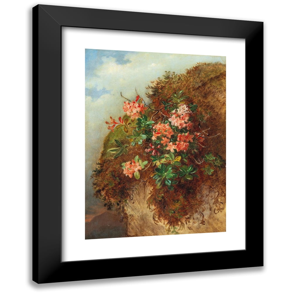 Andreas Lach 14x18 Black Modern Framed Museum Art Print Titled - Alpine ...