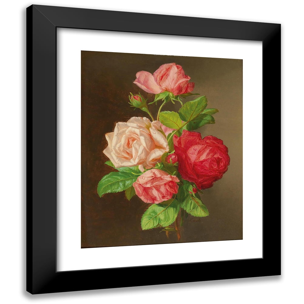 Andreas Lach 15x18 Black Modern Framed Museum Art Print Titled - Roses ...