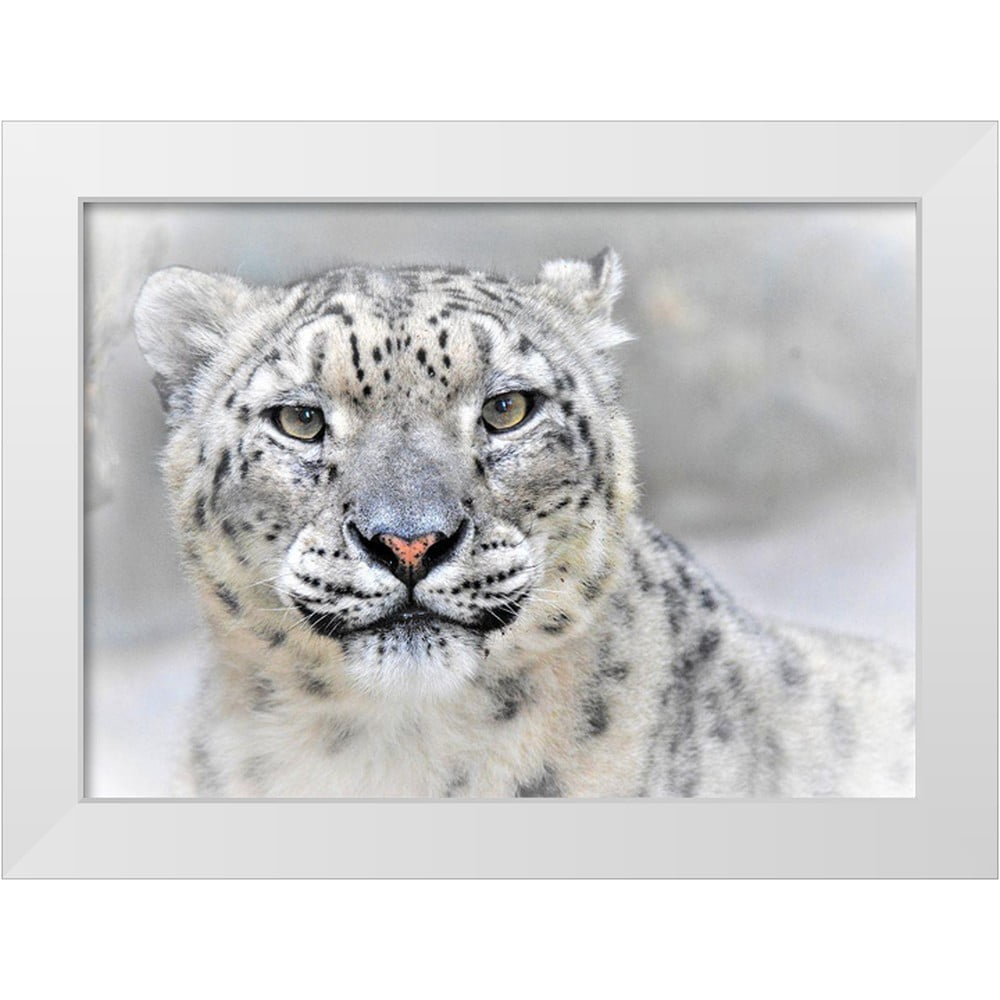 Andreescu, Cristian 14x11 White Modern Wood Framed Museum Art Print ...