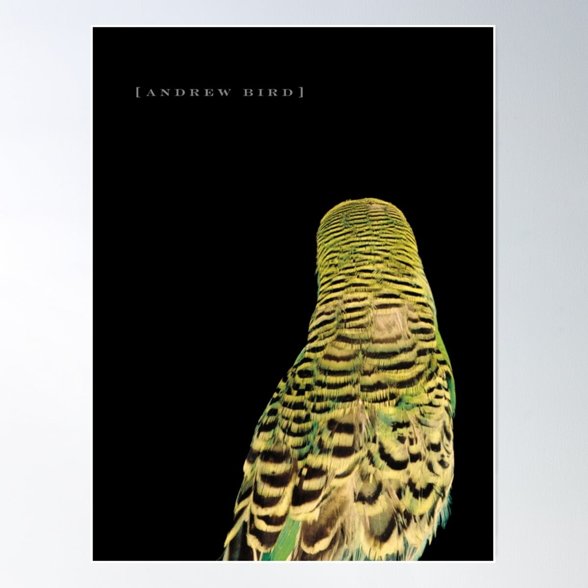 Andrew Bird Poster Wall Art, Modern Wall Decor For Living Room Bedroom ...