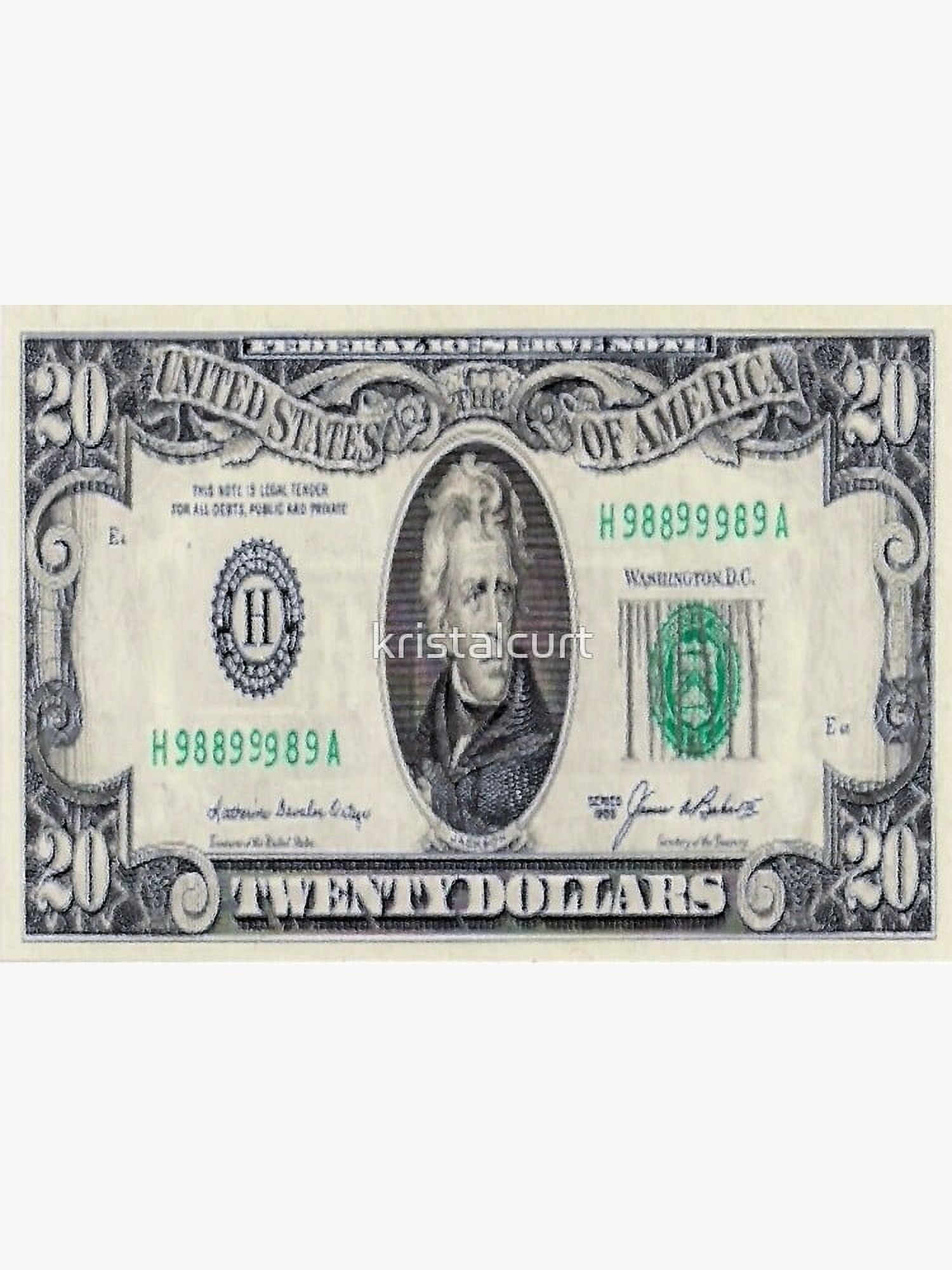 Andrew Jackson Twenty Dollar Bill Modern Art Decor Unframe - Walmart.com