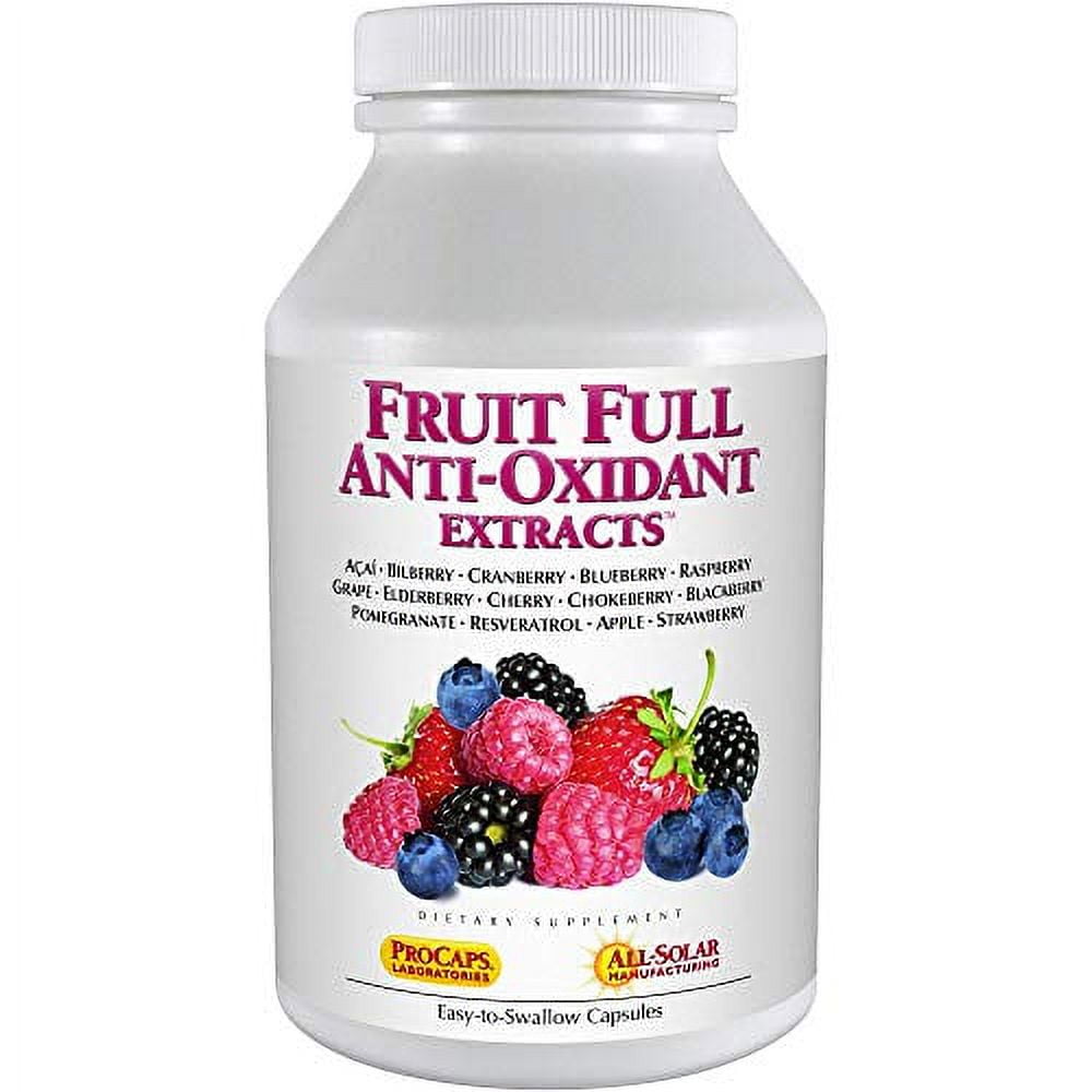 Andrew Lessman Fruit Full Anti-Oxidant Extracts 180 Capsules - 14 ...