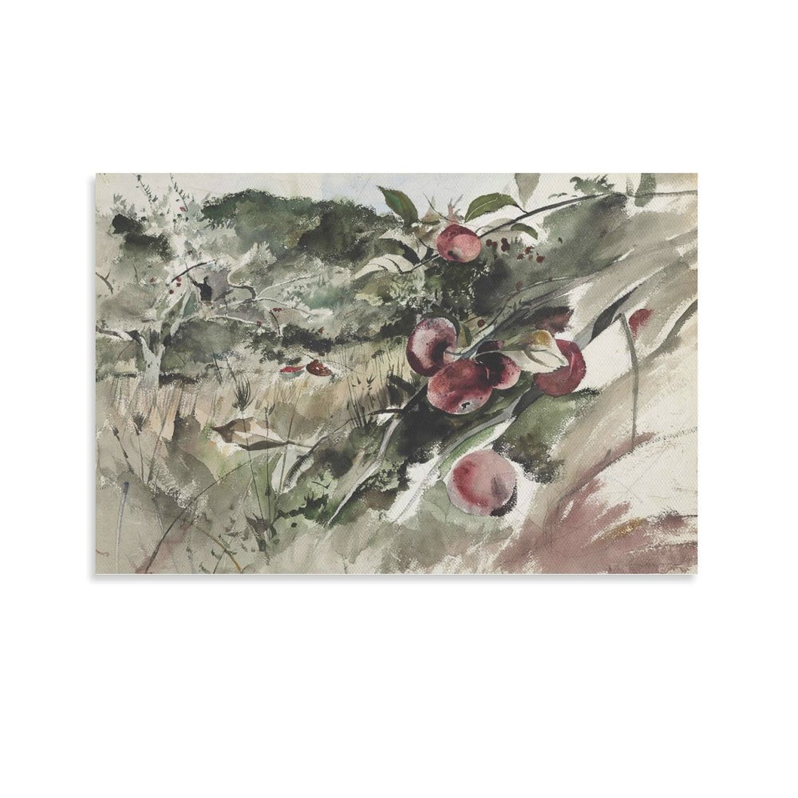 Andrew Newell Wyeth Was An American Visual Artist ，Picking Apples ...