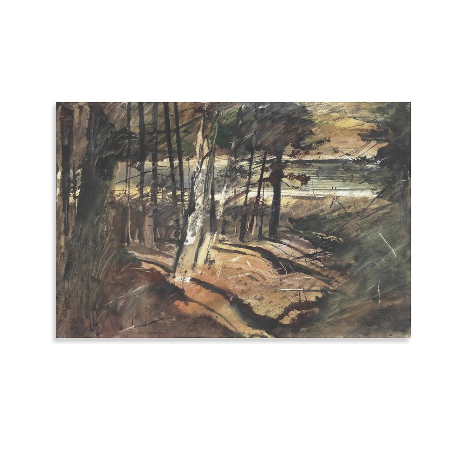 Andrew Newell Wyeth Was An American Visual Artist ，Pine Needles ...