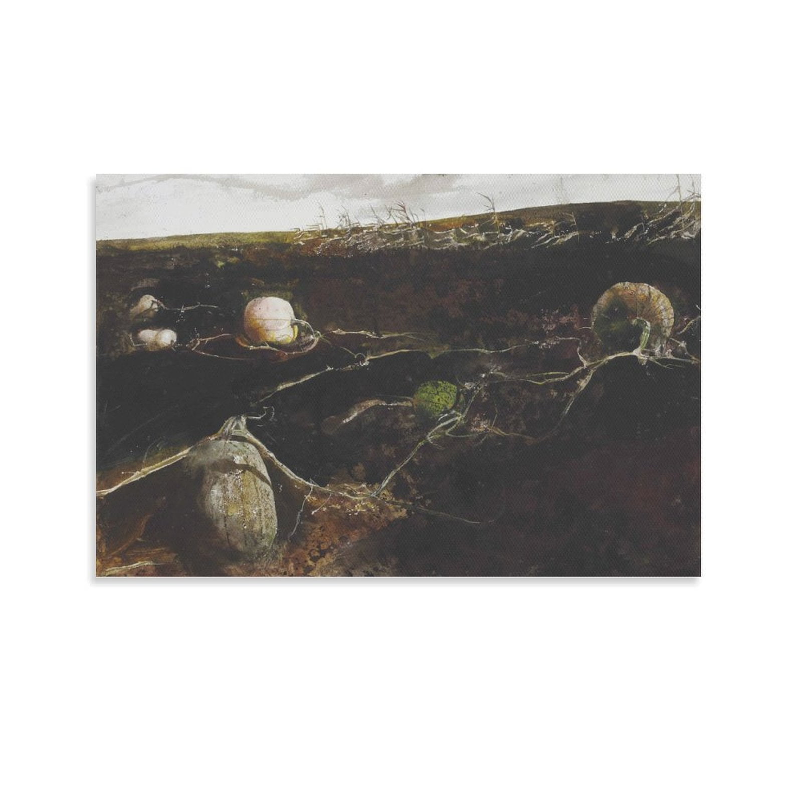 Andrew Newell Wyeth Was An American Visual Artist ，Pumpkin Hill ...