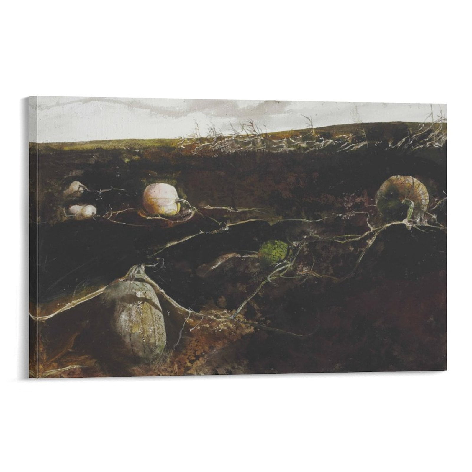 Andrew Newell Wyeth Was An American Visual Artist ，Pumpkin Hill ...