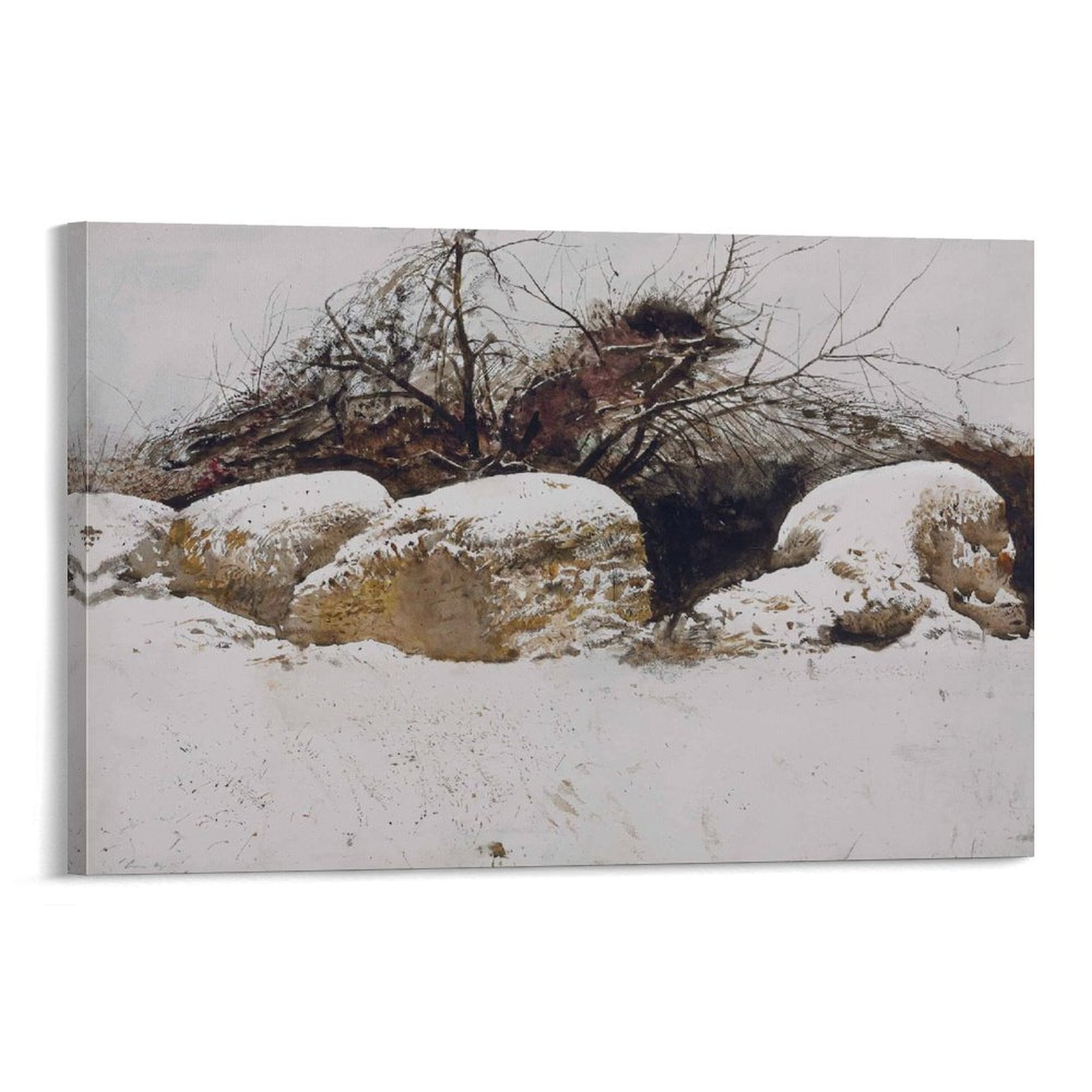 Andrew Newell Wyeth Was An American Visual Artist ，Shredded Wheat ...