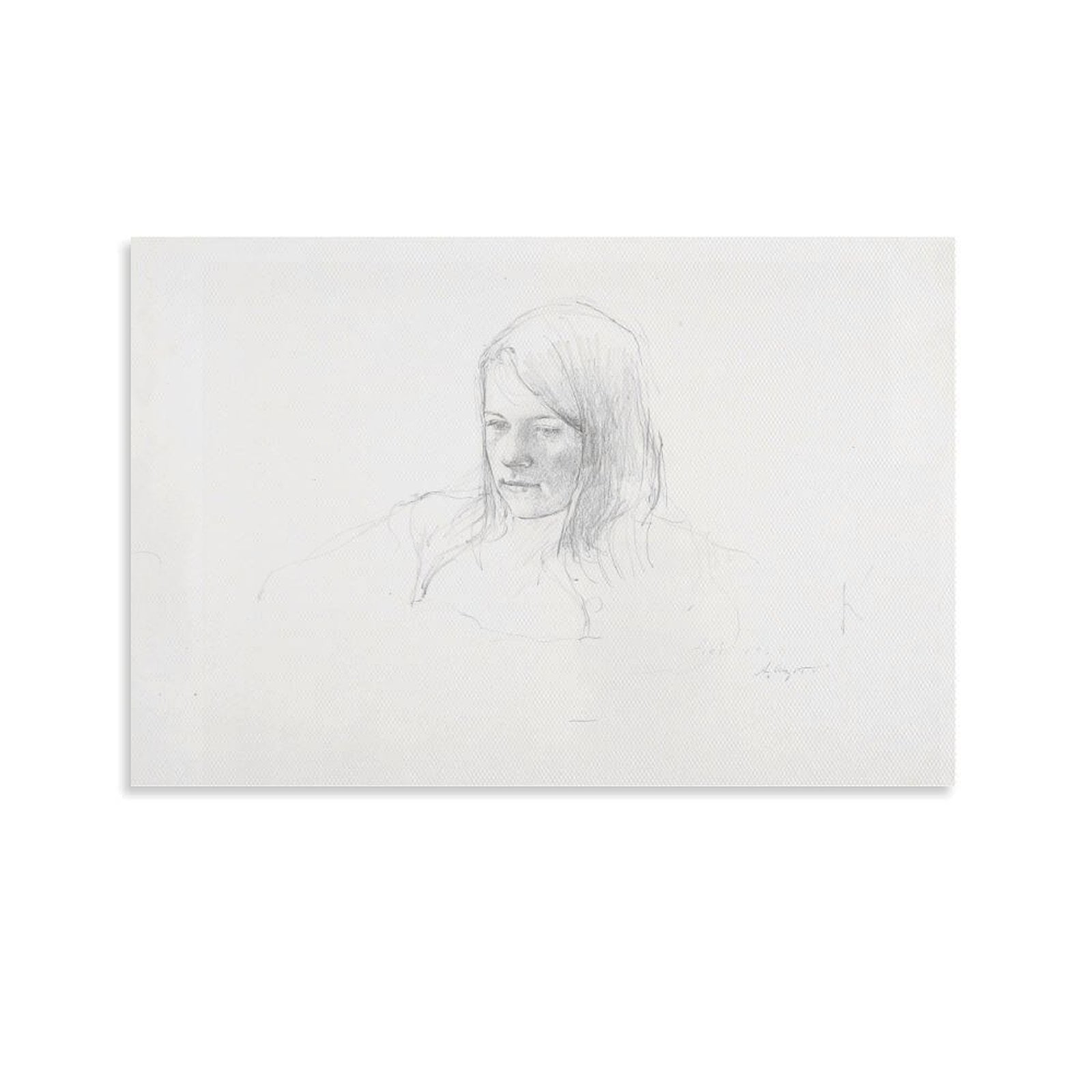 Andrew Newell Wyeth Was An American Visual Artist ，Siri Erickson ...