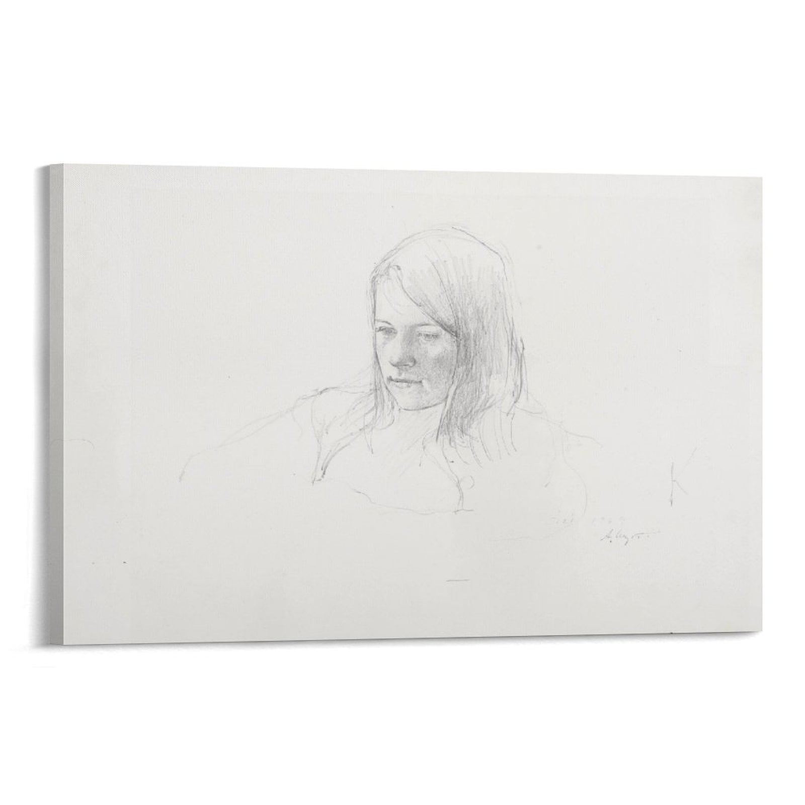 Andrew Newell Wyeth Was An American Visual Artist ，Siri Erickson ...