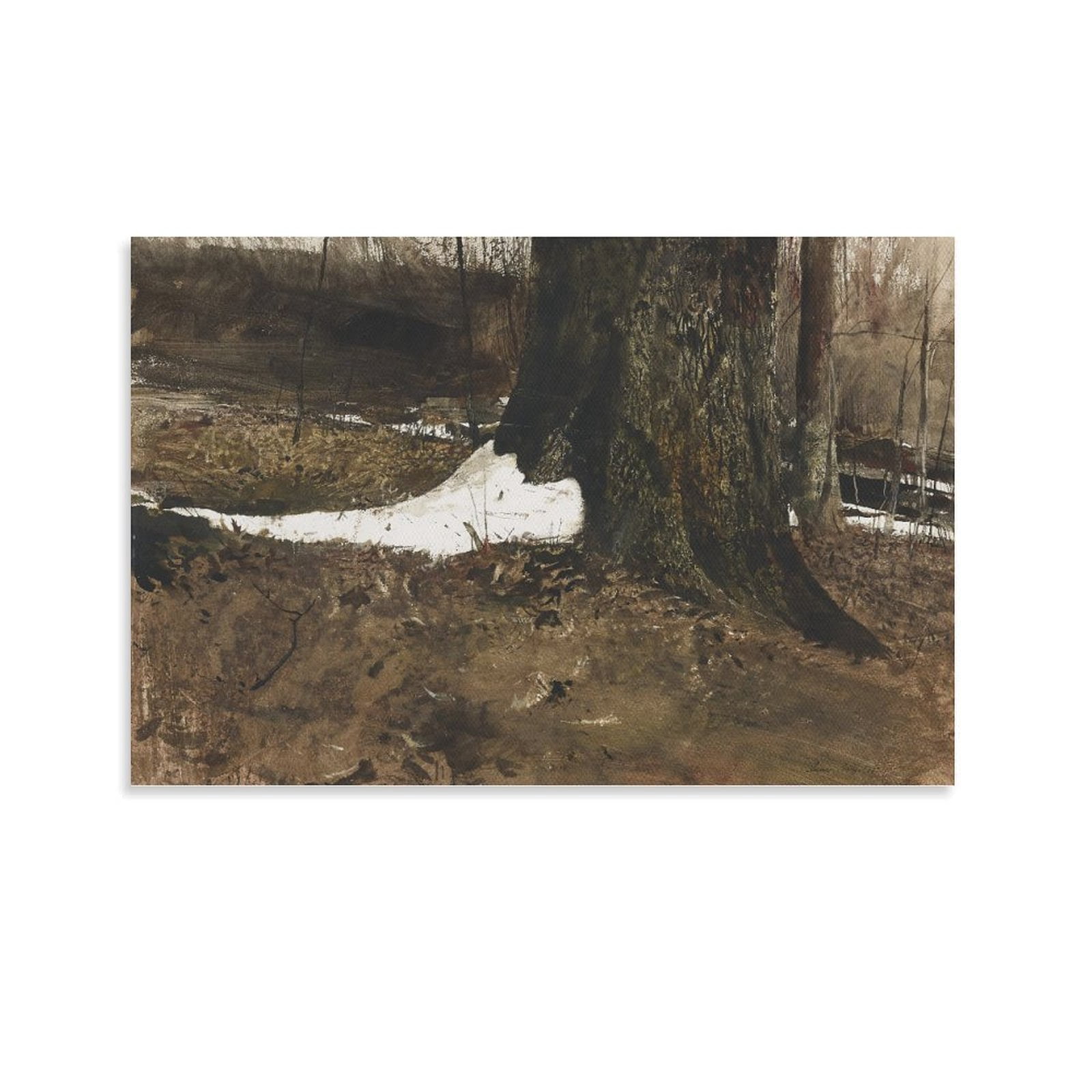 Andrew Newell Wyeth Was An American Visual Artist ，Snow Shoe，Abstract ...