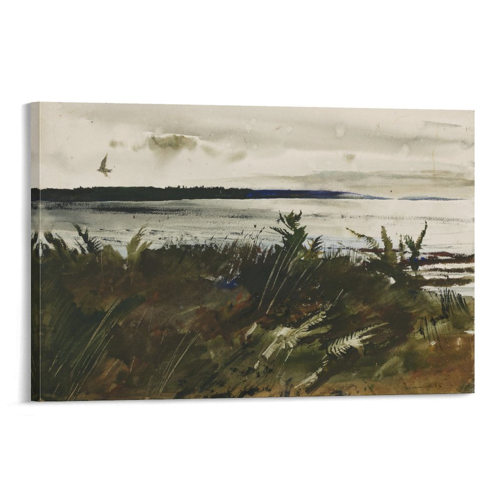 Andrew Newell Wyeth Was An American Visual Artist ，The Lone Gull ...