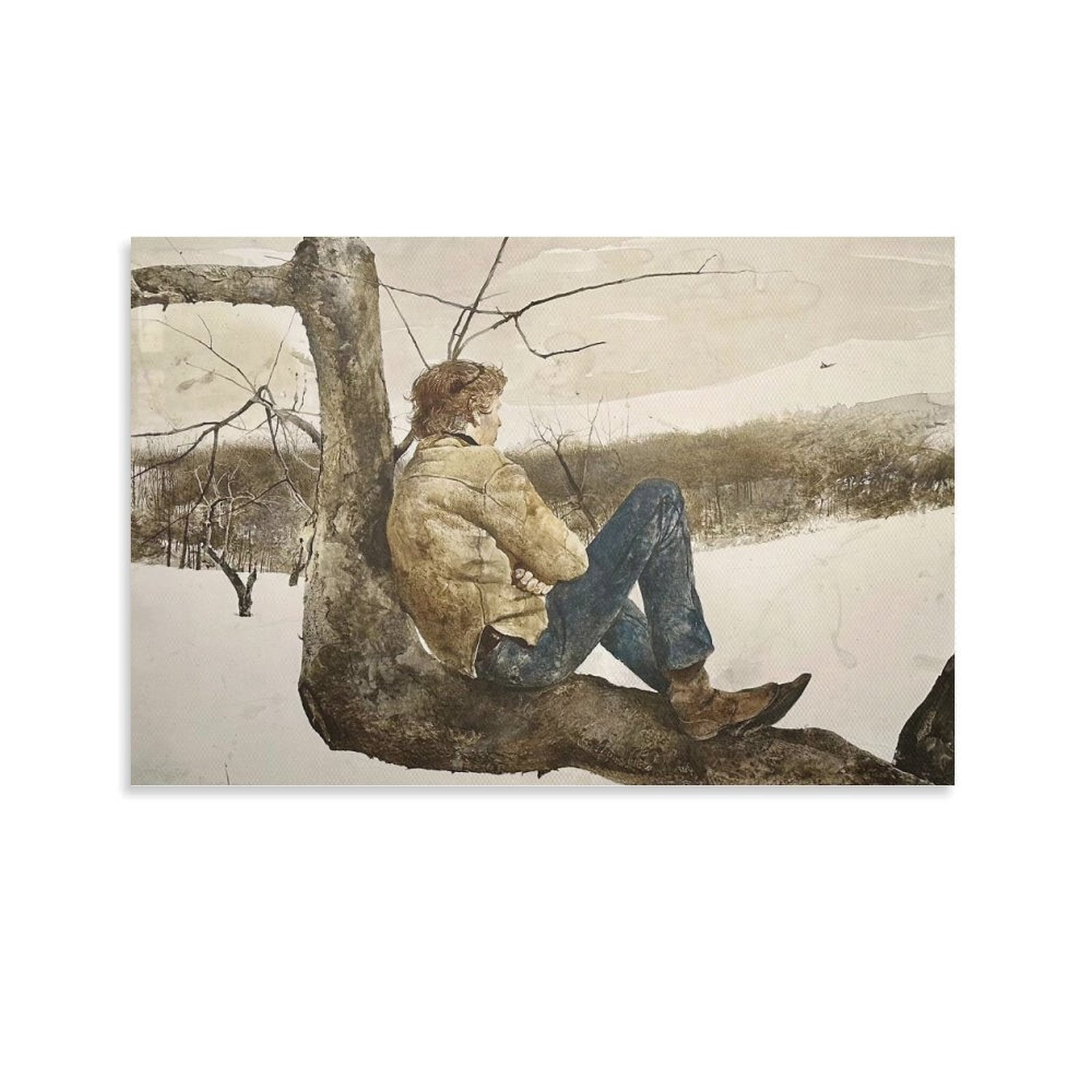 Andrew Newell Wyeth Was An American Visual ArtistAfternoon Flight ...