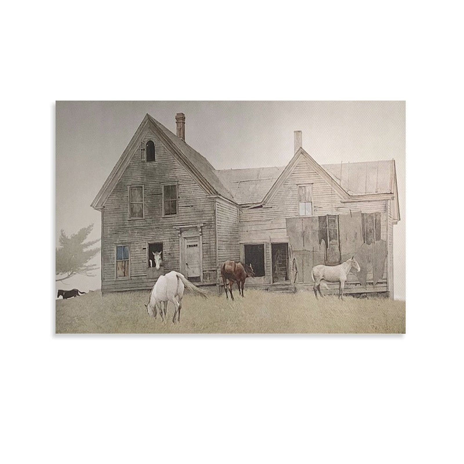 Andrew Newell Wyeth Was An American Visual ArtistOpen House，Abstract ...