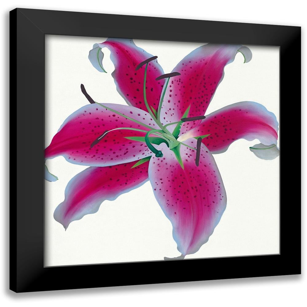 Andrew, Stephanie 15x15 Black Modern Framed Museum Art Print Titled ...