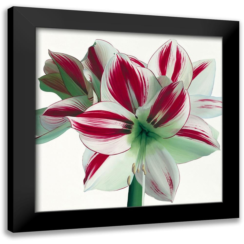 Andrew, Stephanie 20x20 Black Modern Framed Museum Art Print Titled ...
