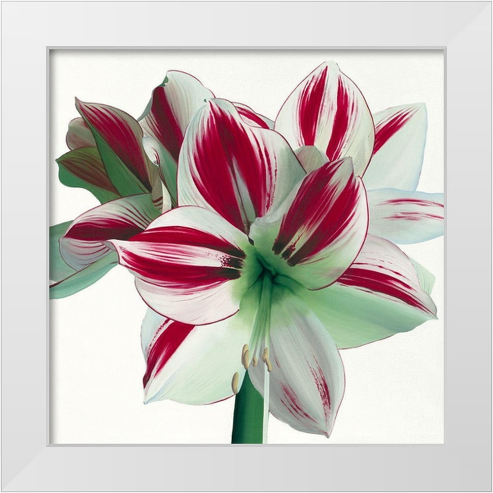 Andrew, Stephanie 20x20 White Modern Wood Framed Museum Art Print ...