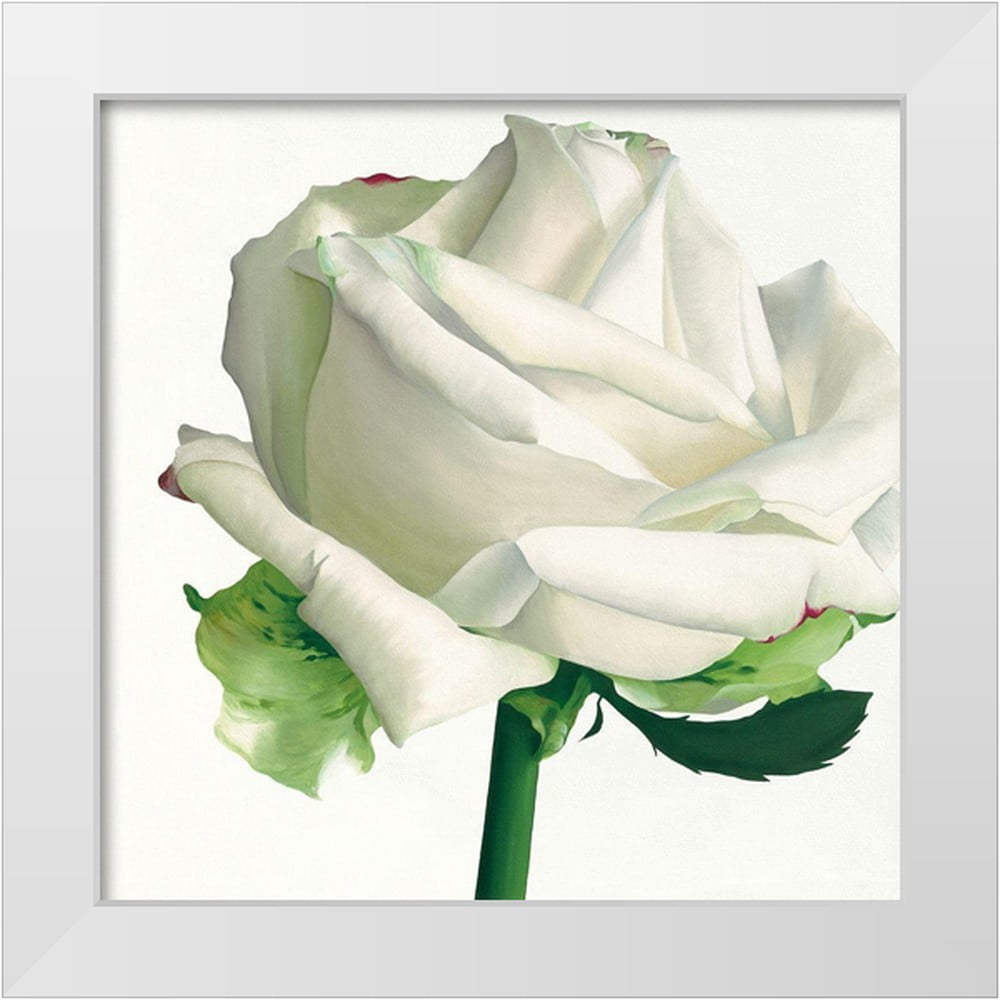 Andrew, Stephanie 26x26 White Modern Wood Framed Museum Art Print ...