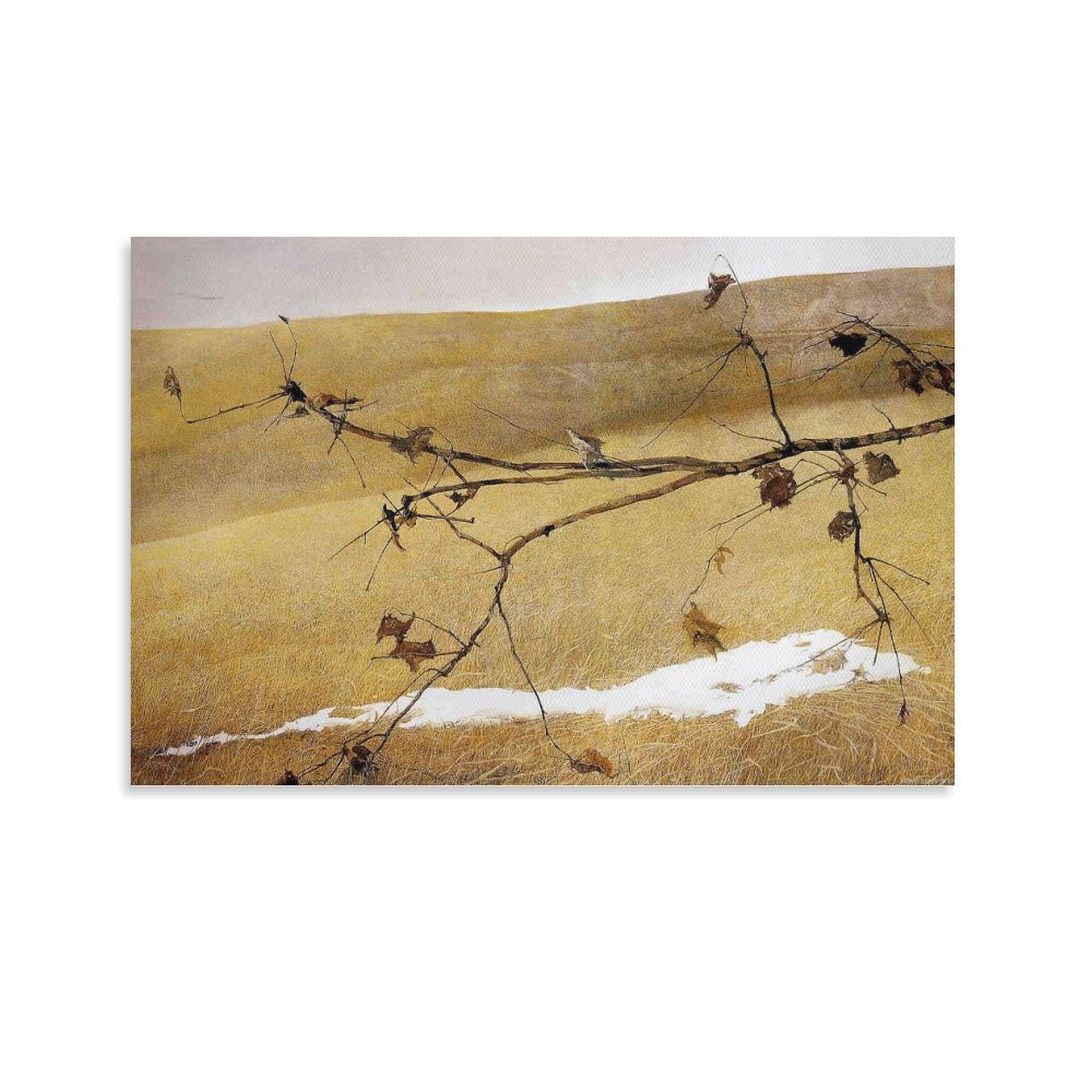 Andrew Wyeth The Artist Poster America Expressionism Artworks Picture ...
