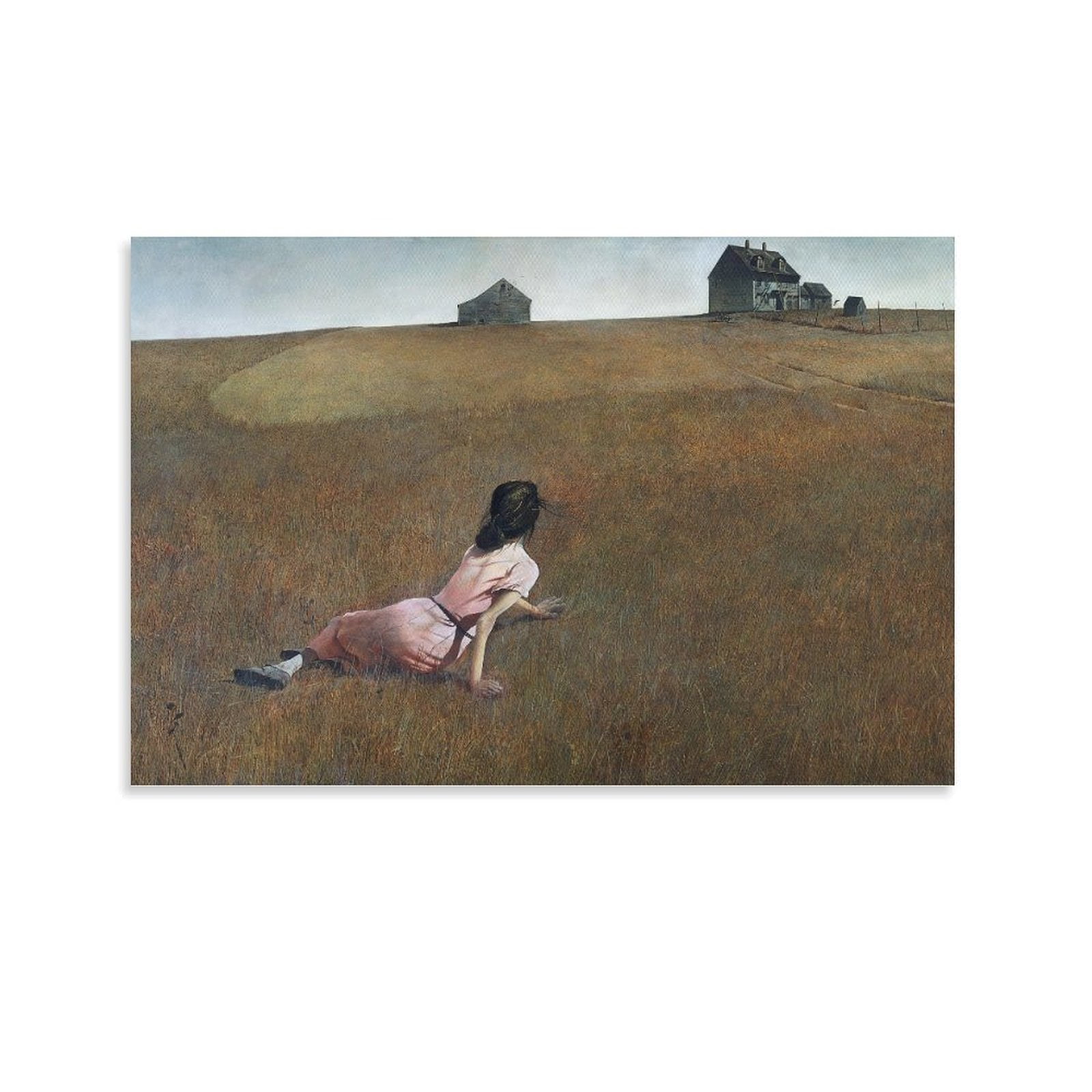 Andrew Wyeth Christina's World Wall Art Prints Framed Paintings Poster ...