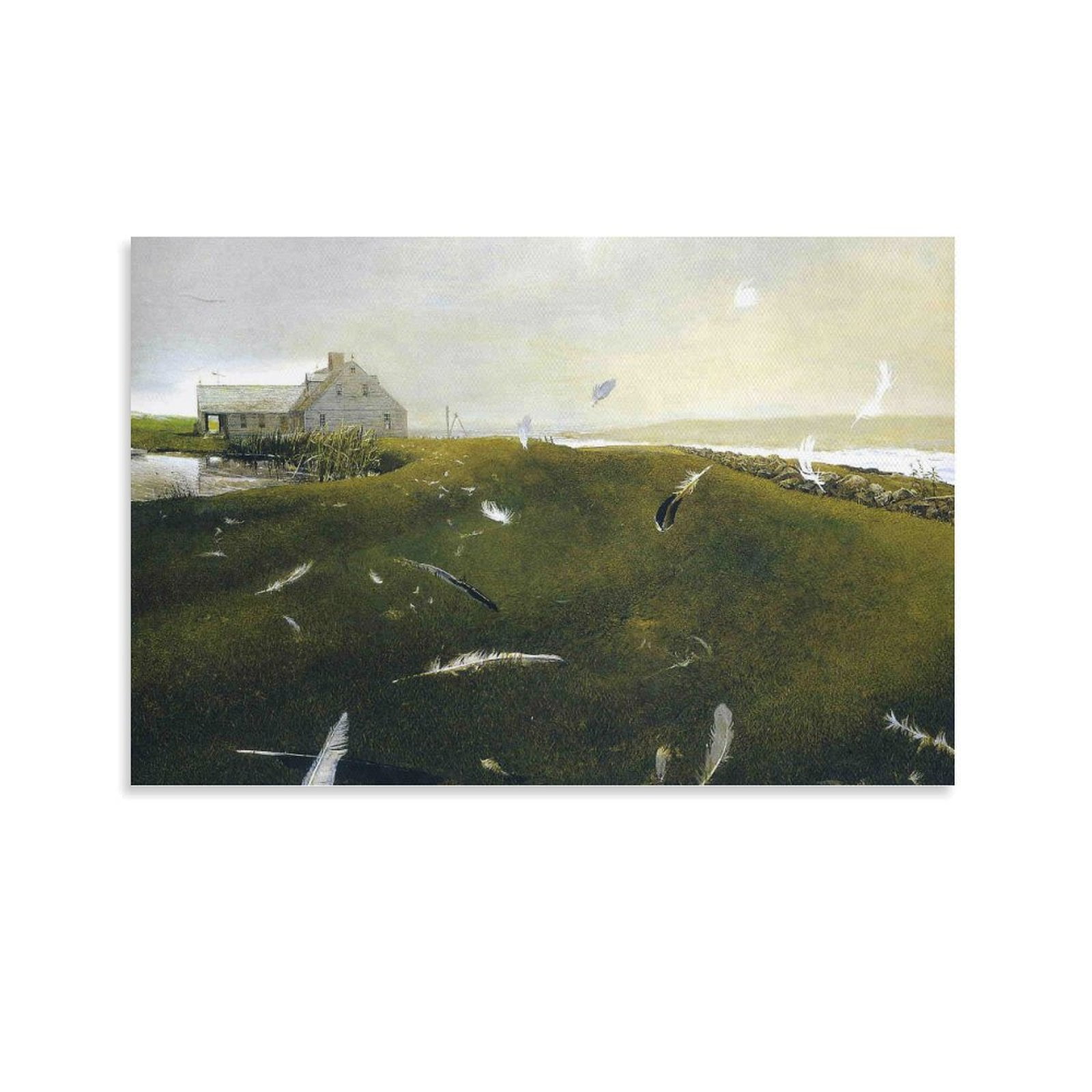 Andrew Wyeth Print Painting Airborne Canvas Wall Art Poster Decorative ...