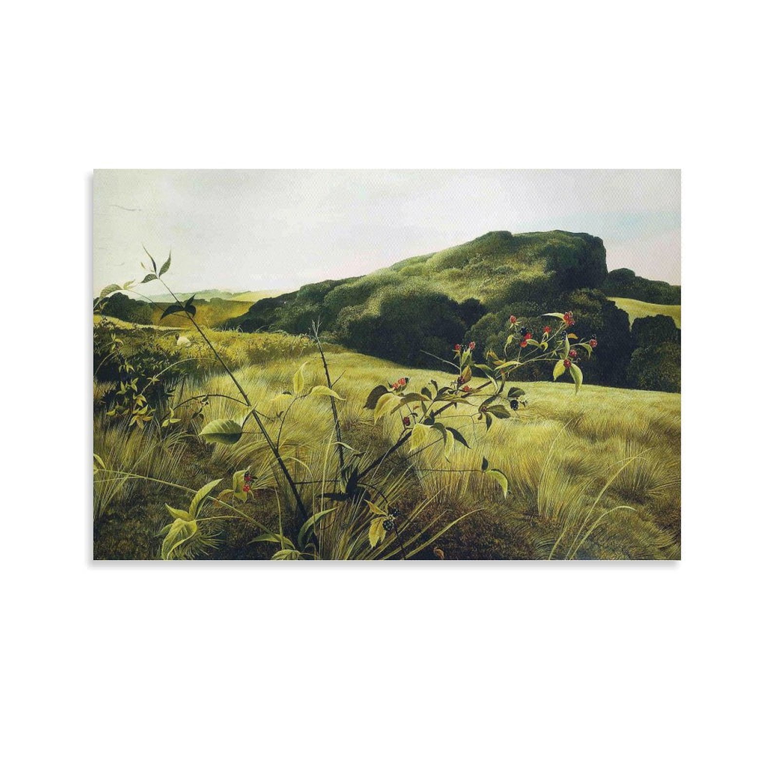 Andrew Wyeth Print Painting Blackberry-Picker Canvas Poster Wall Art ...