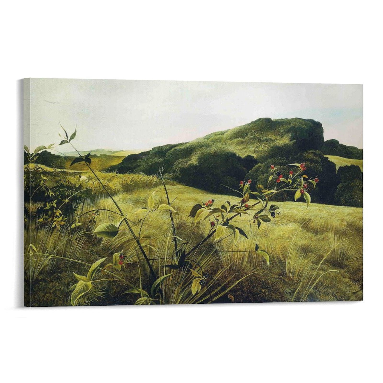 Andrew Wyeth Print Painting Blackberry-Picker Poster Decorative ...