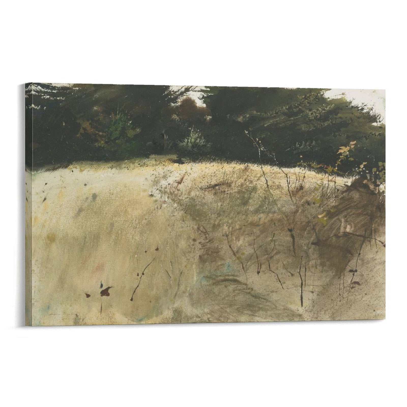 Andrew Wyeth Print Painting Fall Grasses Poster Canvas Poster Wall Art ...