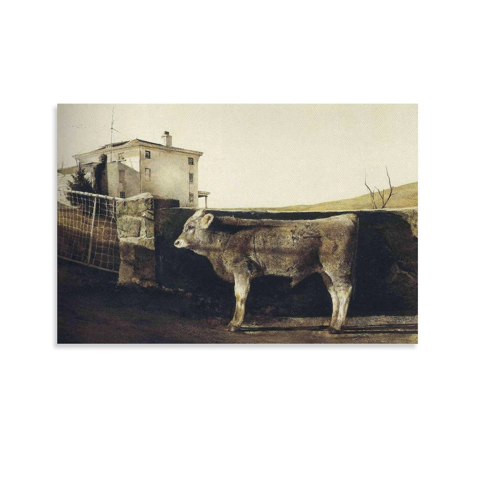 Andrew Wyeth Print Painting Young Bull Wall Art Picture Painting Poster ...