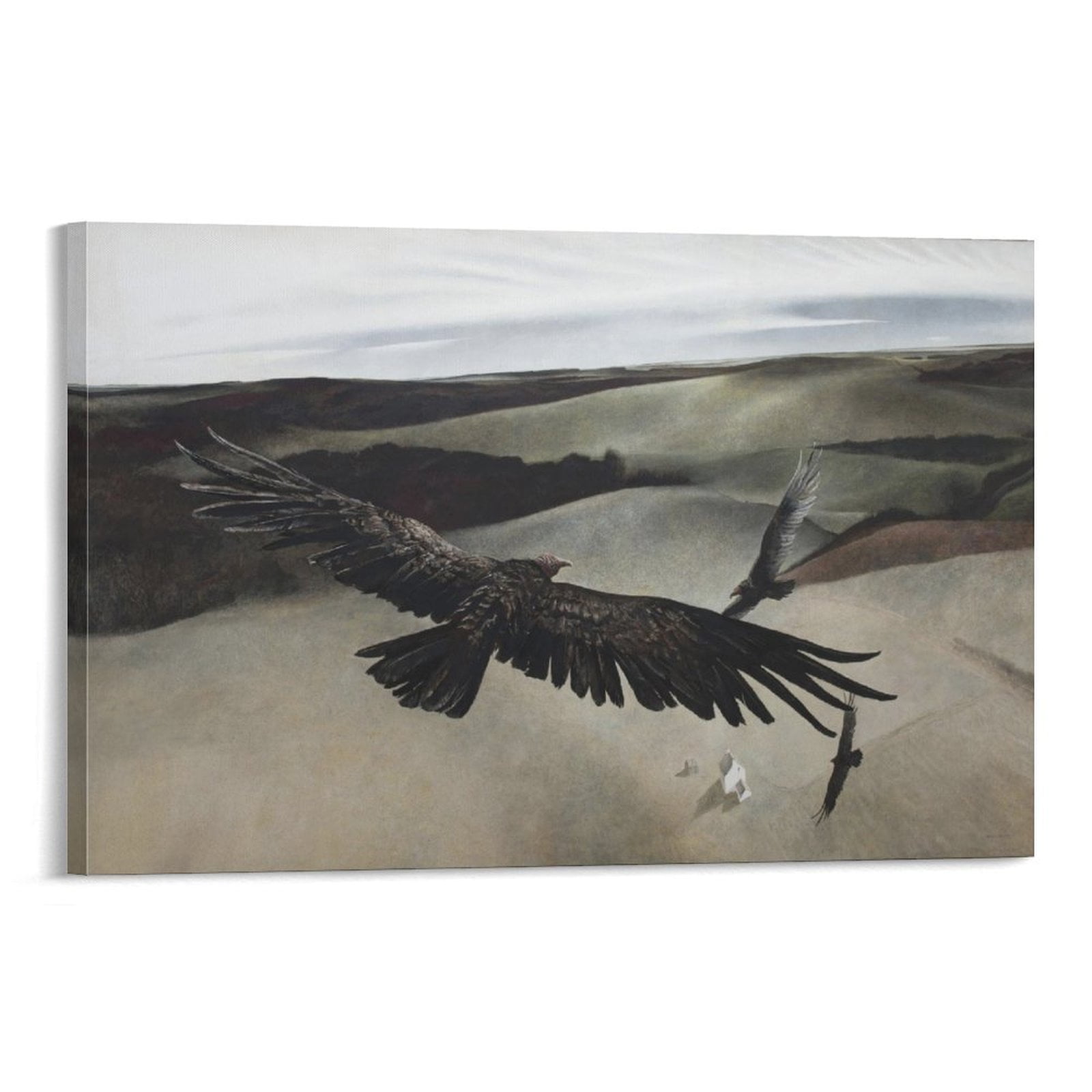 Andrew Wyeth Prints Paintings Birds of War by Andrew Wyeth Poster ...