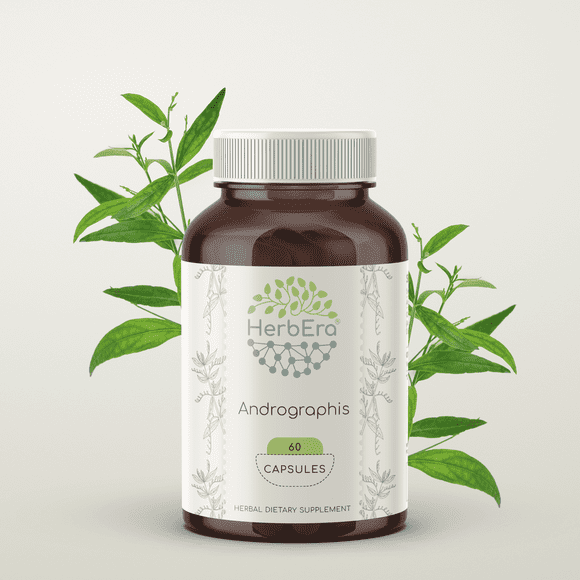 Best Sellers In Andrographis Paniculata