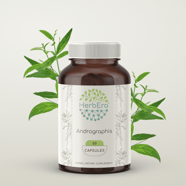 Andrographis 60 Capsules, 400 mg, Organic Andrographis (Fah talai jone ...