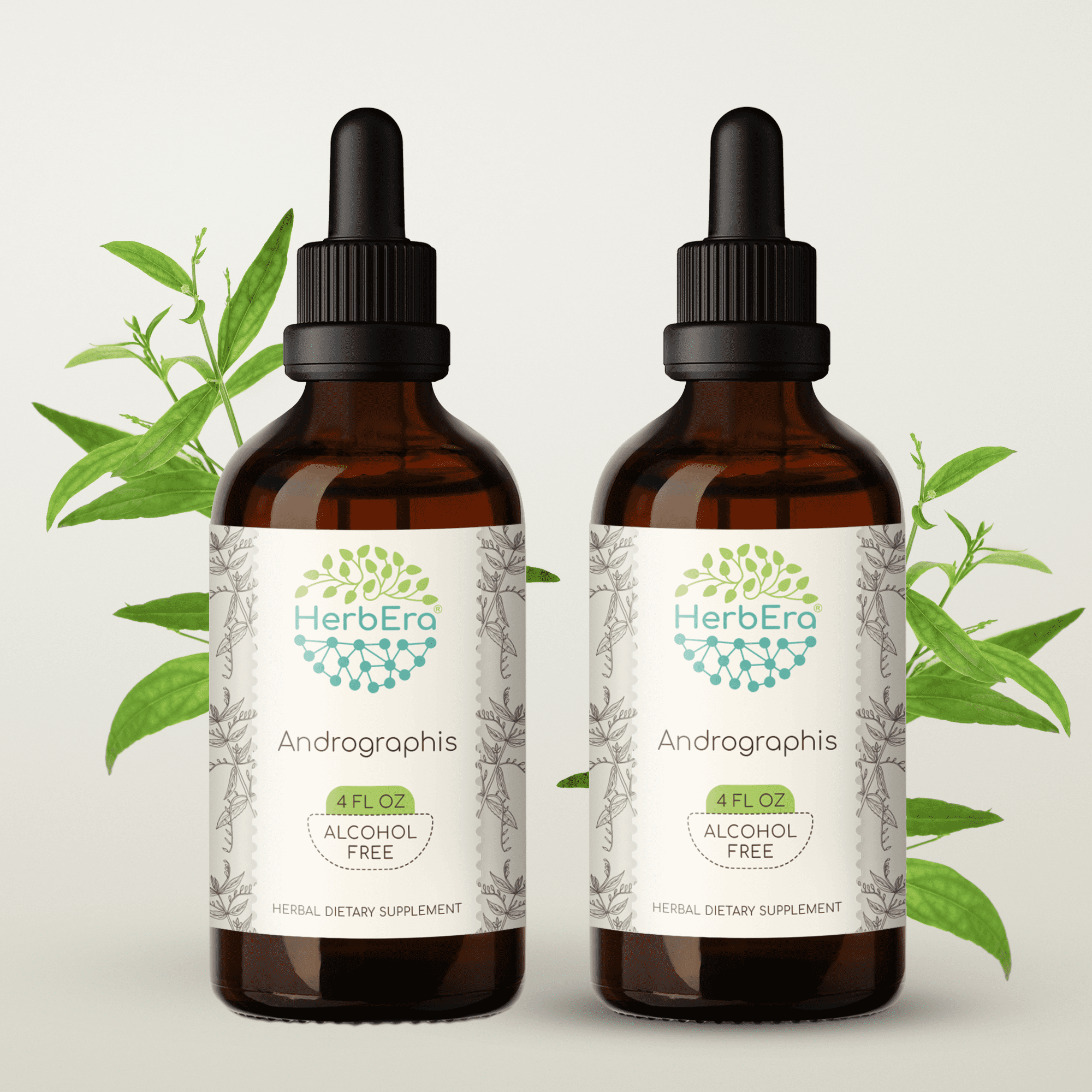 Andrographis Alcohol-FREE Herbal Extract Tincture, Super-Concentrated ...