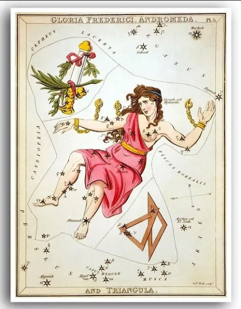 Andromeda Poster Astrology Art Sidney Hall Urania'S Mirror Gloria ...